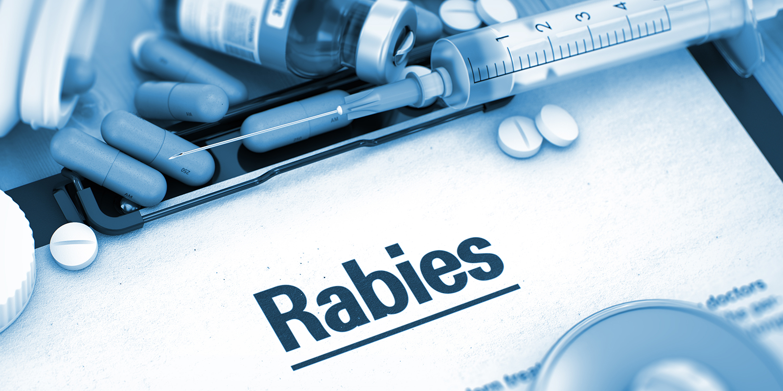 Markant fald i rabiesvaccinationer efter dyrebid